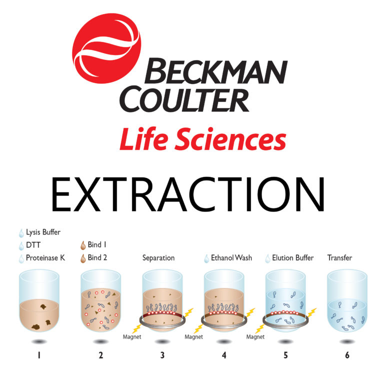 Automated Extraction - Labplan