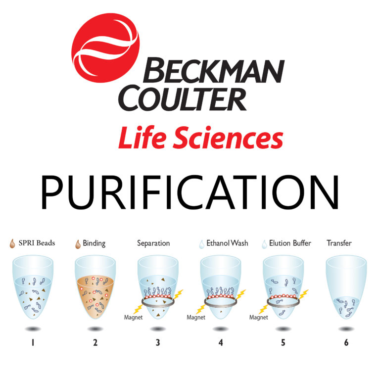 Automated Purification - Labplan