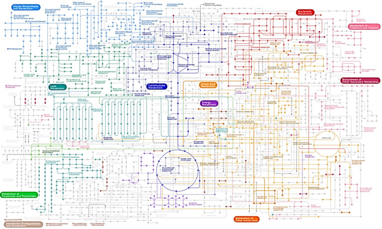 Automating Metabolomics - Labplan